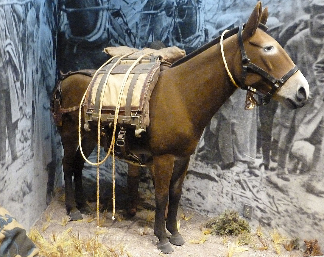 Fort Eustis Transportation Museum fort-eustis-transportation-museum